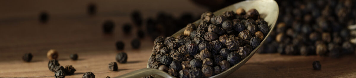 Kerala Spice Cultivation